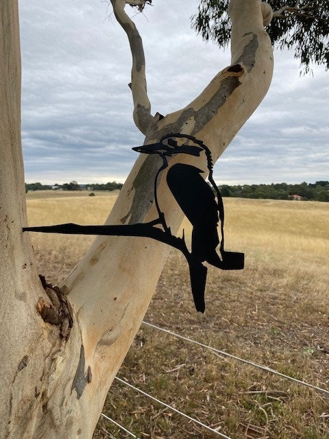 KOOKABURRA TREE ART
