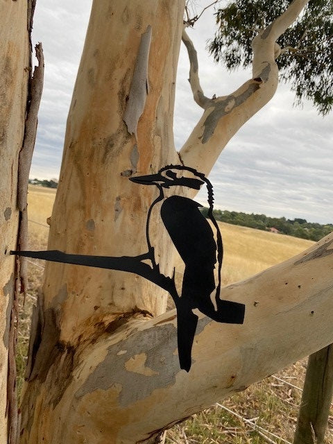 KOOKABURRA TREE ART